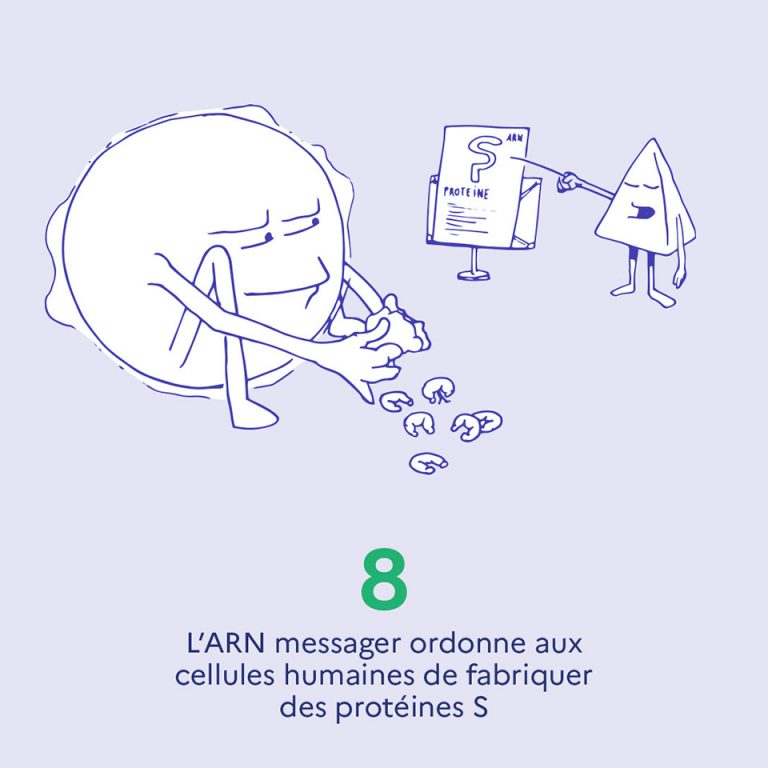 Qu’est-ce que la vaccination par ARNm messager ? – Ordre des masseurs ...